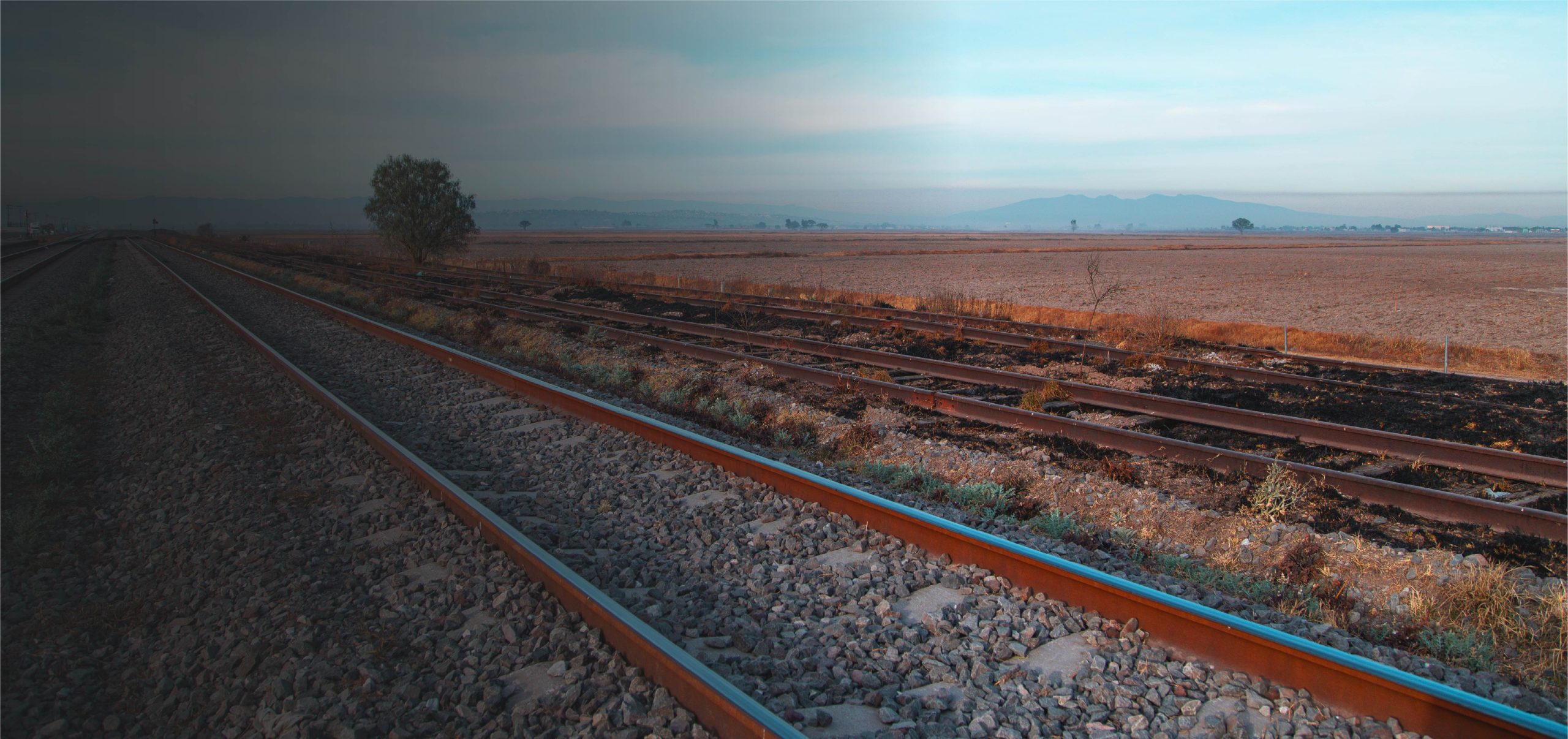 NEM-X | Land Developer